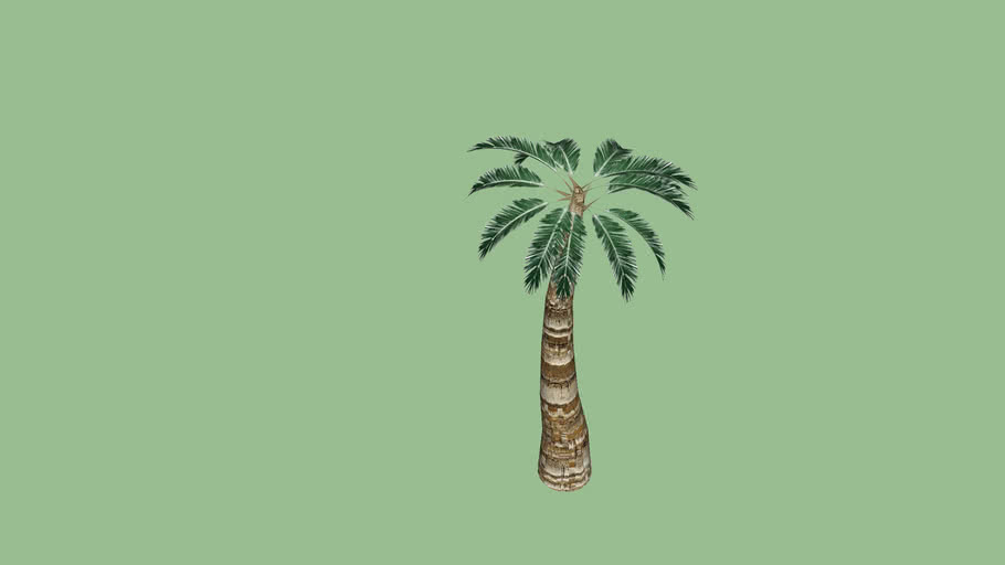 coconut | 3D Warehouse