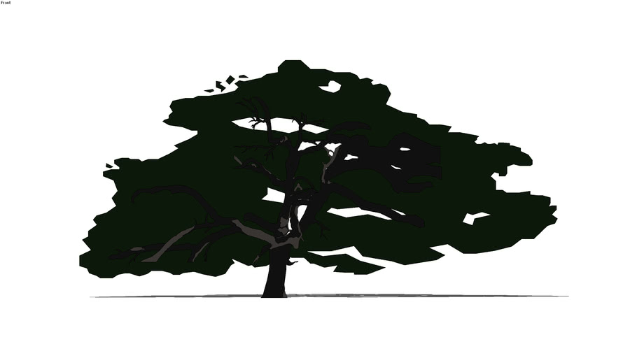 Tree_2D_Texas_Live_Oak | 3D Warehouse