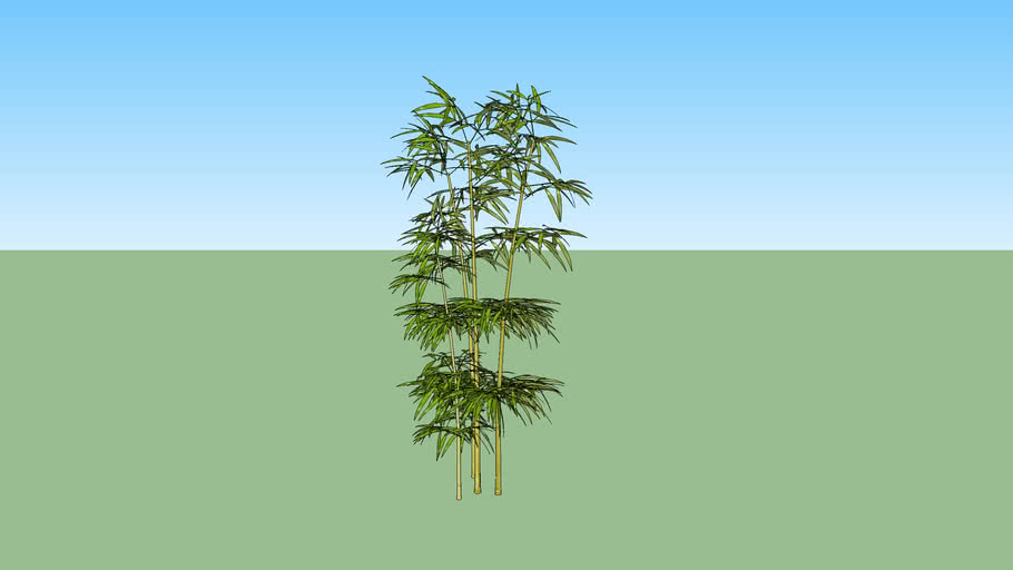 Bambu 01 | 3D Warehouse
