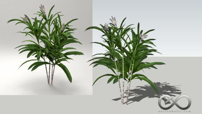Plants | 3D Warehouse