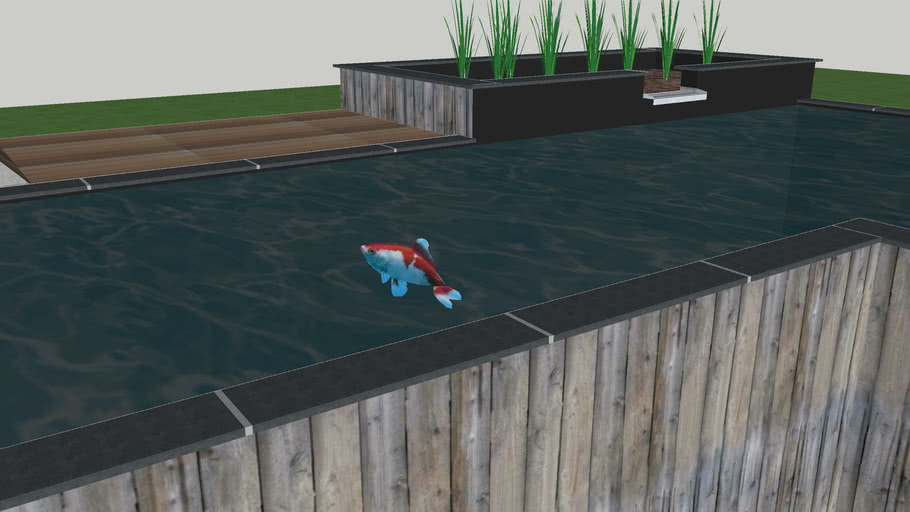 Koi pond | 3D Warehouse