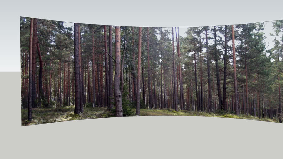 Forest+background1 | 3D Warehouse
