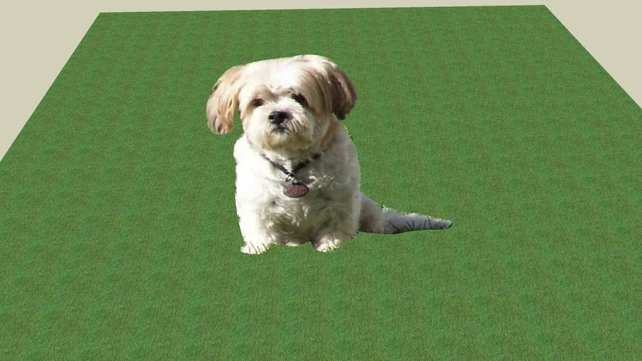 dog | 3D Warehouse