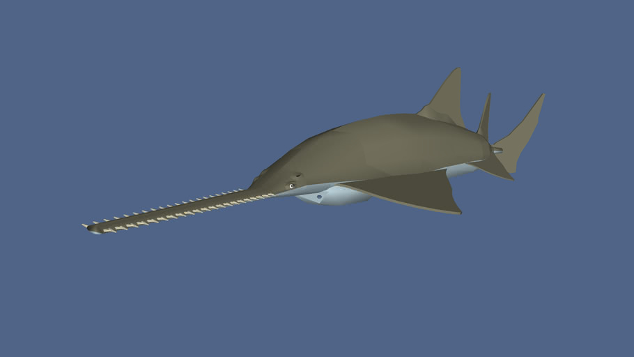 48 Sawfish Onchopristis: Cretaceous Period | 3D Warehouse
