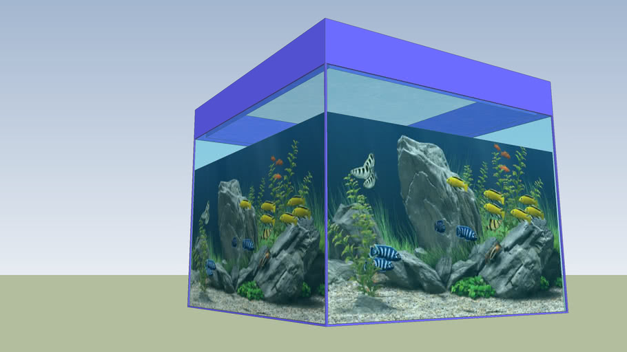 fish Aquarium | 3D Warehouse
