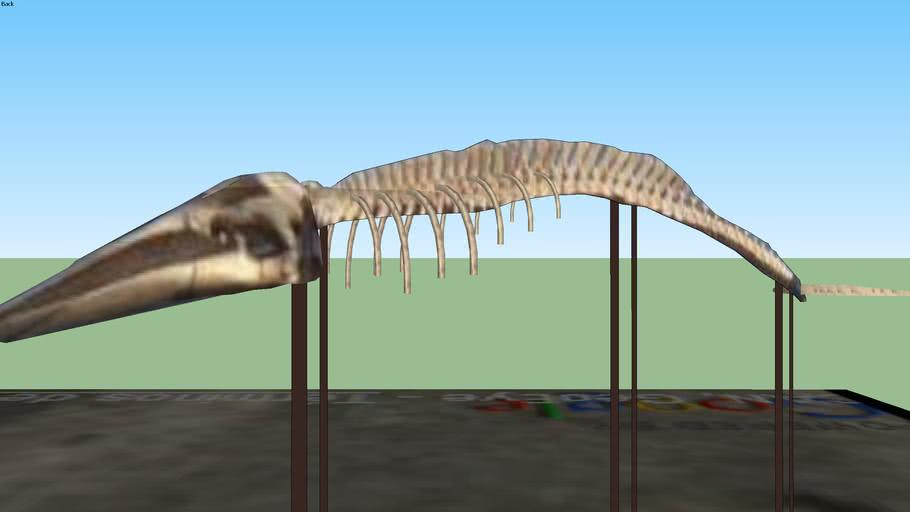 esqueleto de ballena en las salinas del carmen | 3D Warehouse