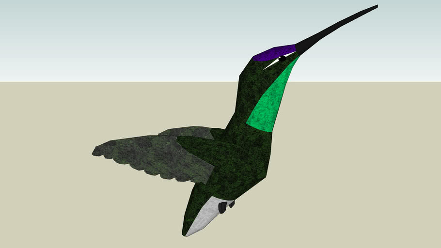 Magnificent hummingbird | 3D Warehouse