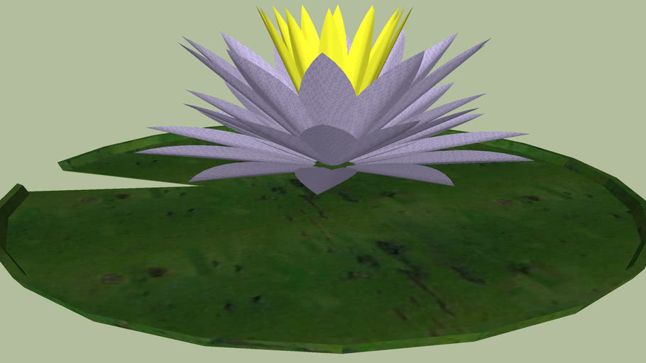 Lily pad | 3D Warehouse