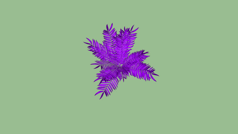 Fern one | 3D Warehouse