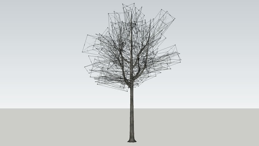 tree | 3D Warehouse