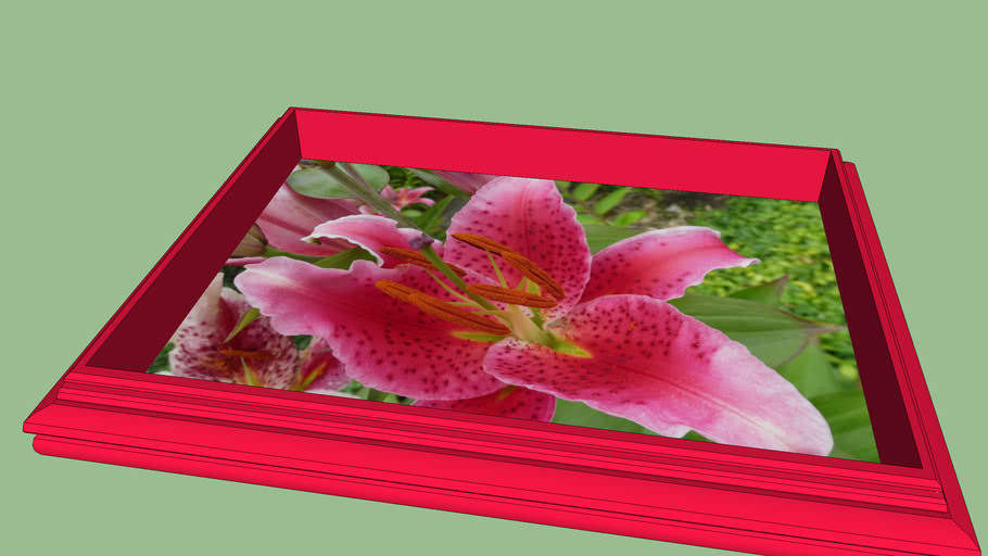 Pink Flower | 3D Warehouse