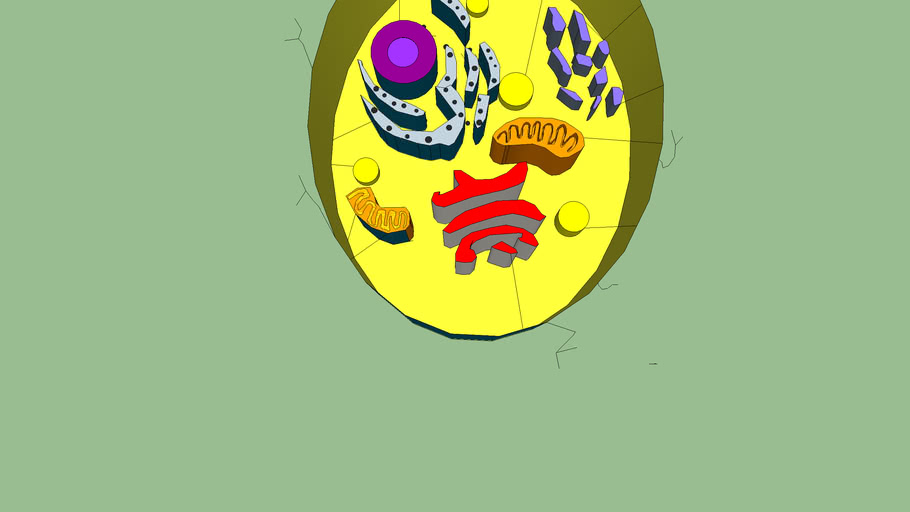 3d cell model supercell | 3D Warehouse