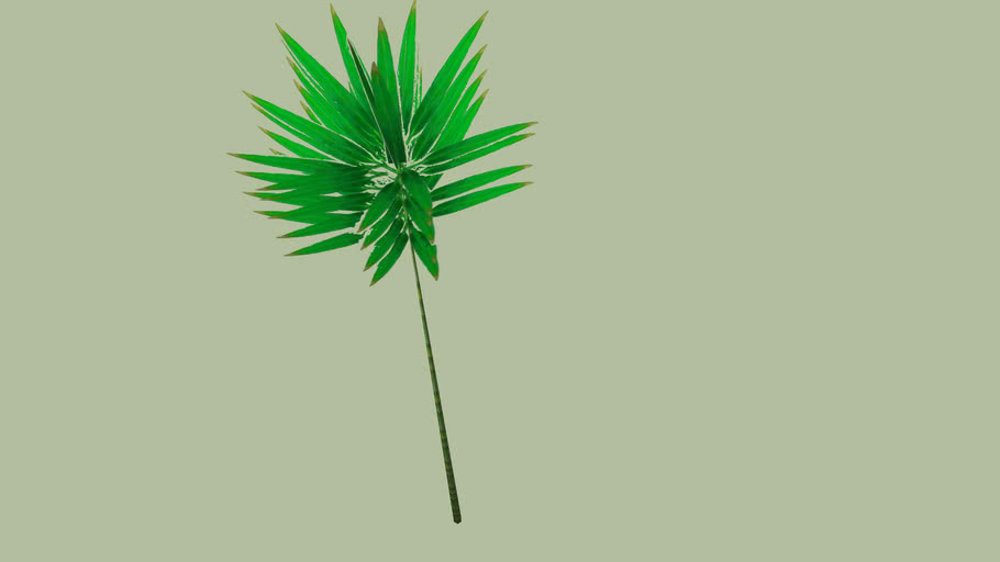 sugarcane | 3D Warehouse