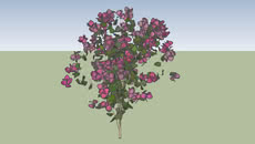 3d flower | 3D Warehouse