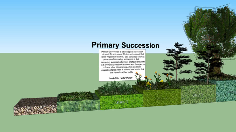 11.4 Application - Primary Succession | 3D Warehouse