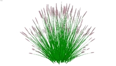 Grasses | 3D Warehouse