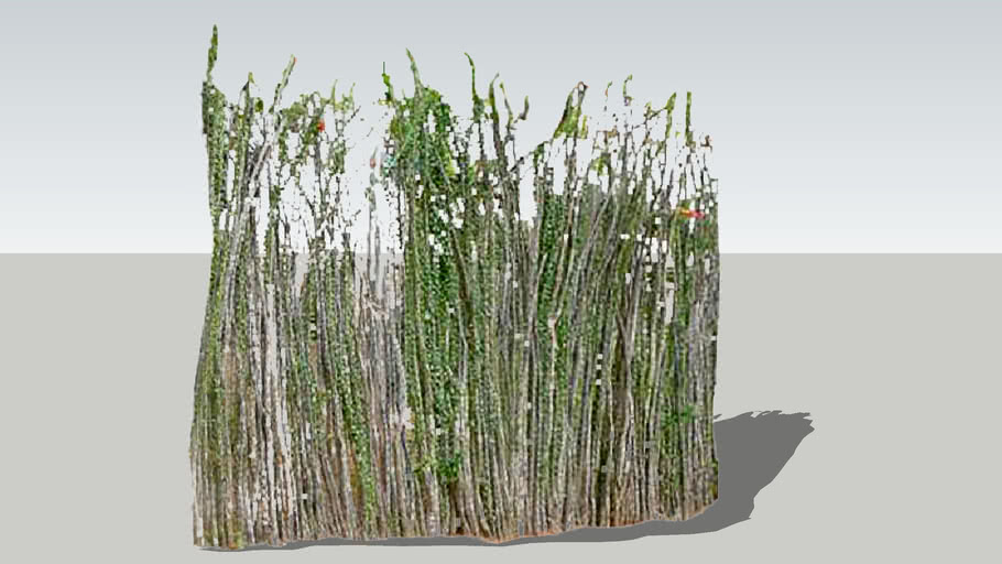 Ocotillo Fencing | 3D Warehouse