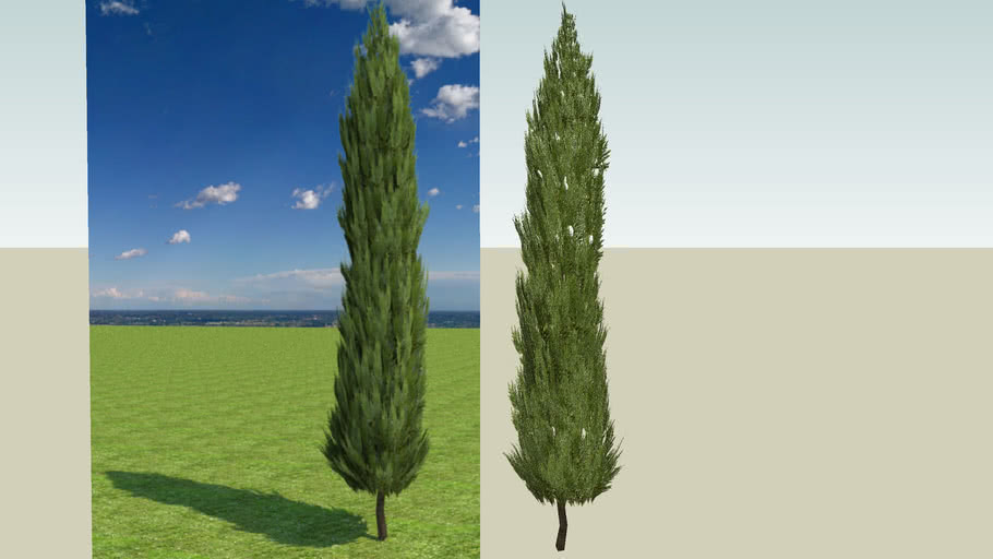 # 1 - VEGETAÇÃO | 3D Warehouse