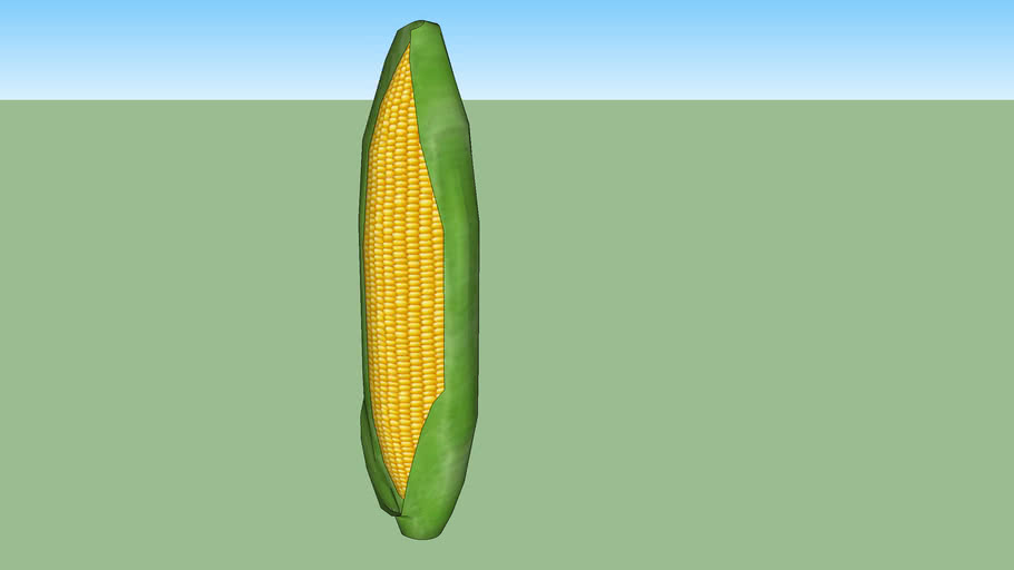 Corn on the Stalk | 3D Warehouse