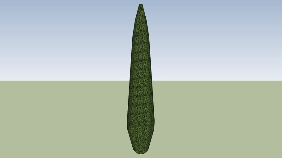 Italian cypress | 3D Warehouse