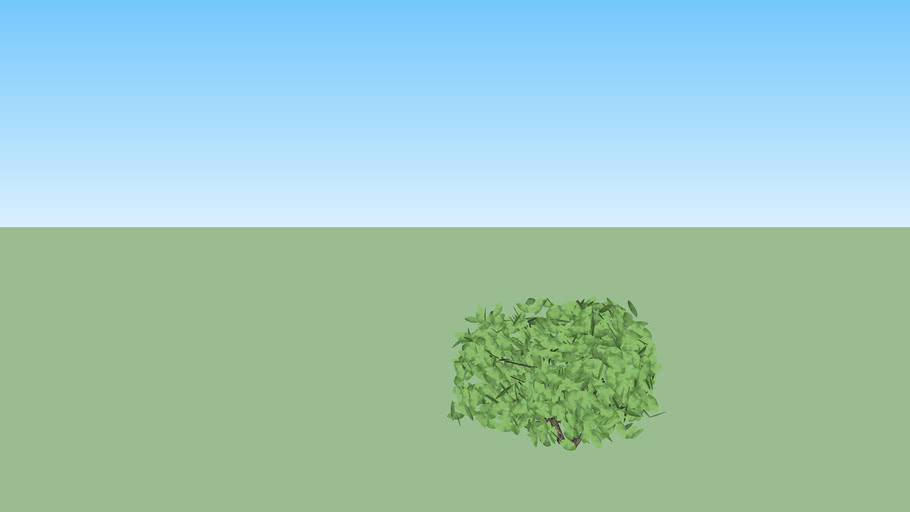 Generic 3D bush | 3D Warehouse
