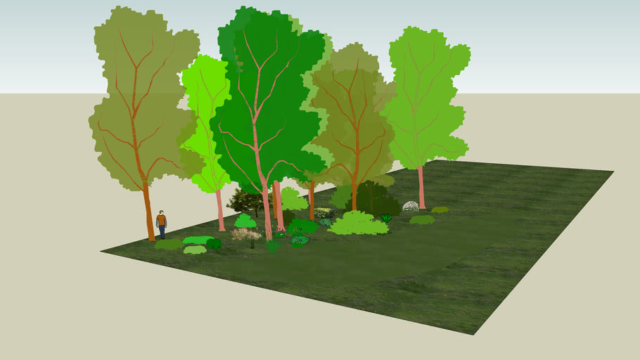 Forest (Try 2) | 3D Warehouse