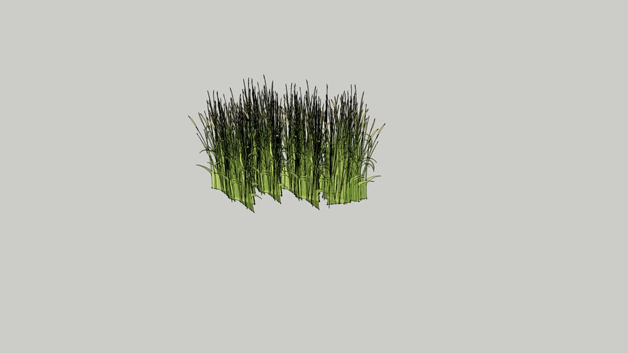 Grass | 3D Warehouse