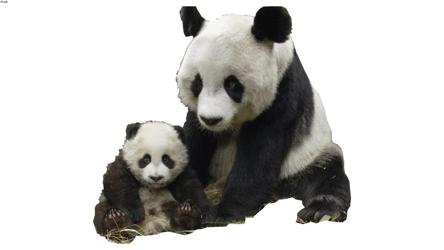 panda 2d | 3D Warehouse