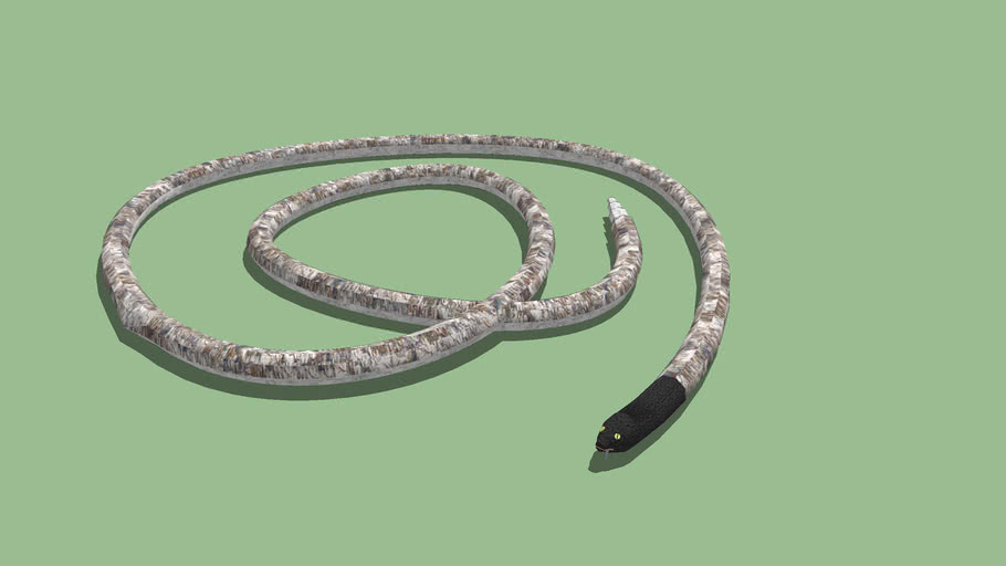 Snake | 3D Warehouse