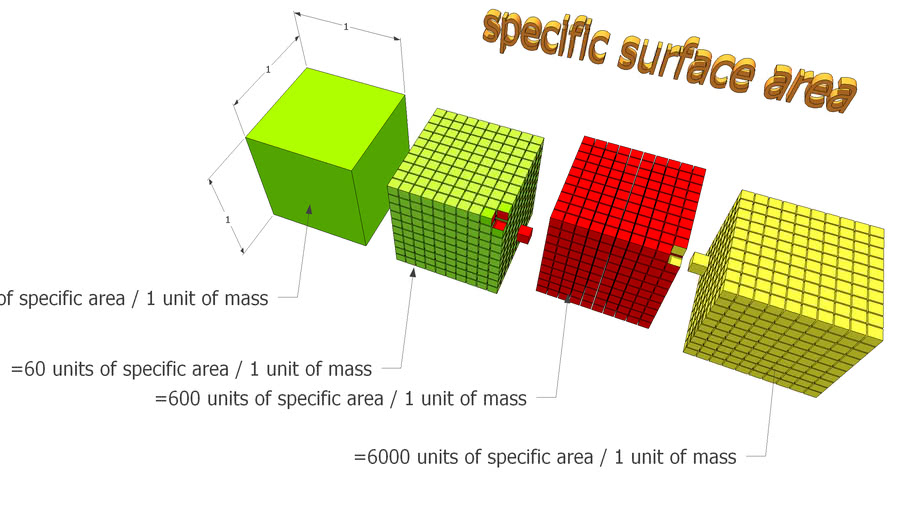 Specific surface area | 3D Warehouse