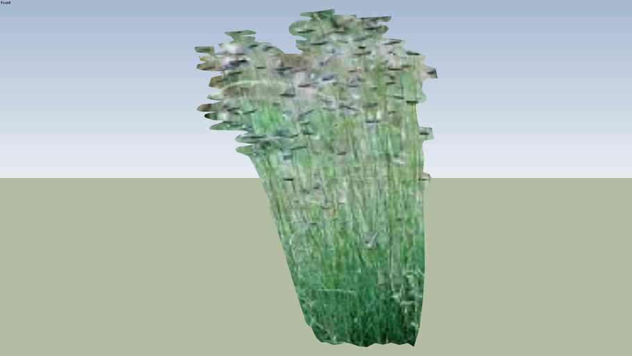 blue gamma grass | 3D Warehouse