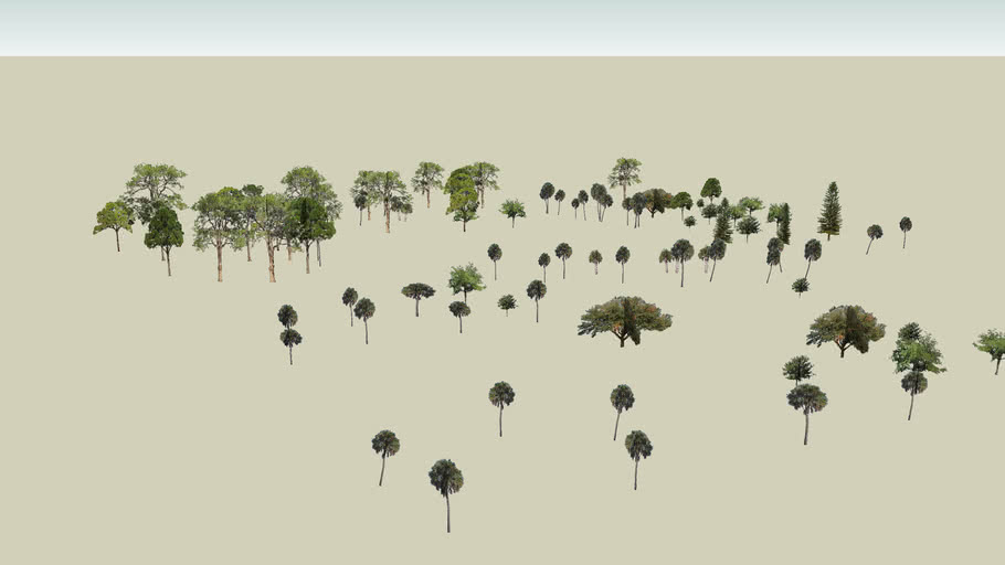 ashraf tenun akademi pokok | 3D Warehouse