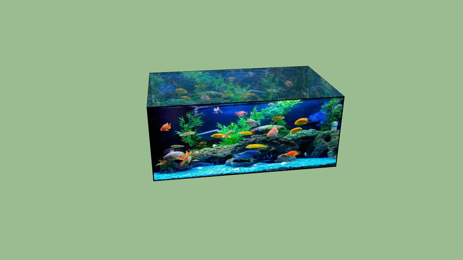 The aquarium | 3D Warehouse