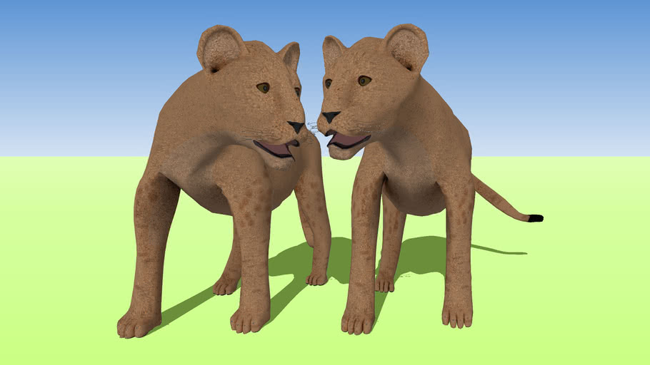 Lion Cubs | 3D Warehouse