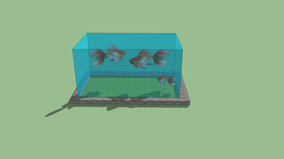 fishes | 3D Warehouse