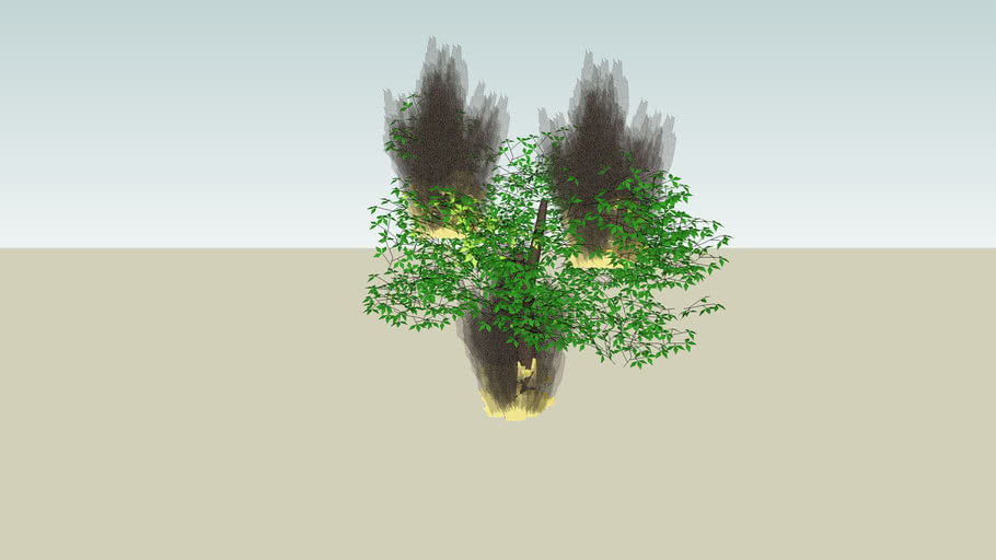 Forest Fire | 3D Warehouse