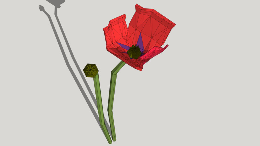 poppy low poly | 3D Warehouse
