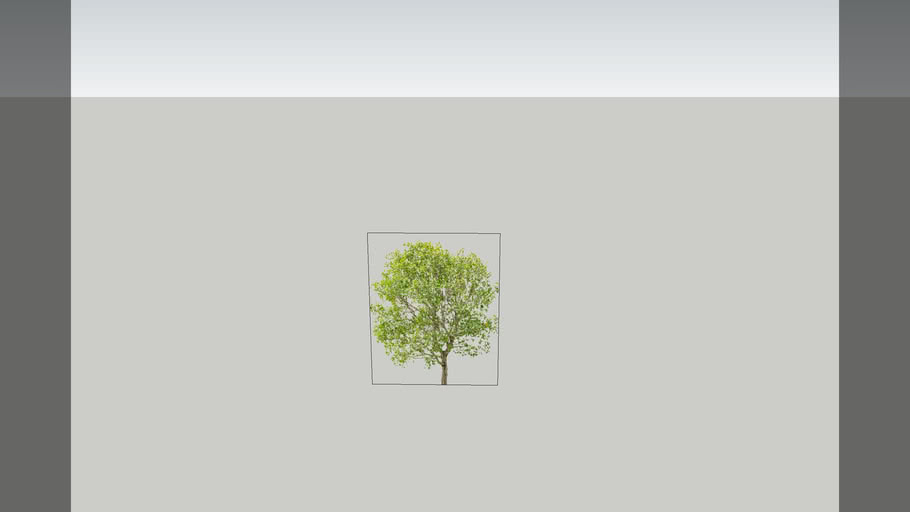 TREE 2D | 3D Warehouse