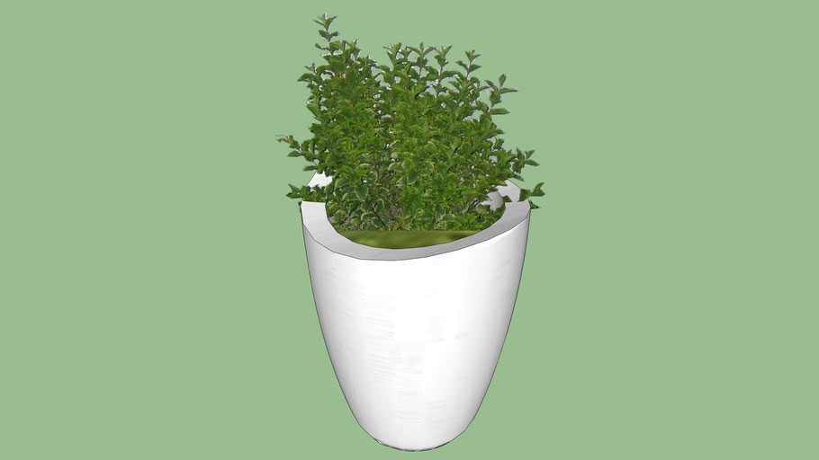 Pot 2 | 3D Warehouse