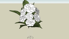 Flower | 3D Warehouse