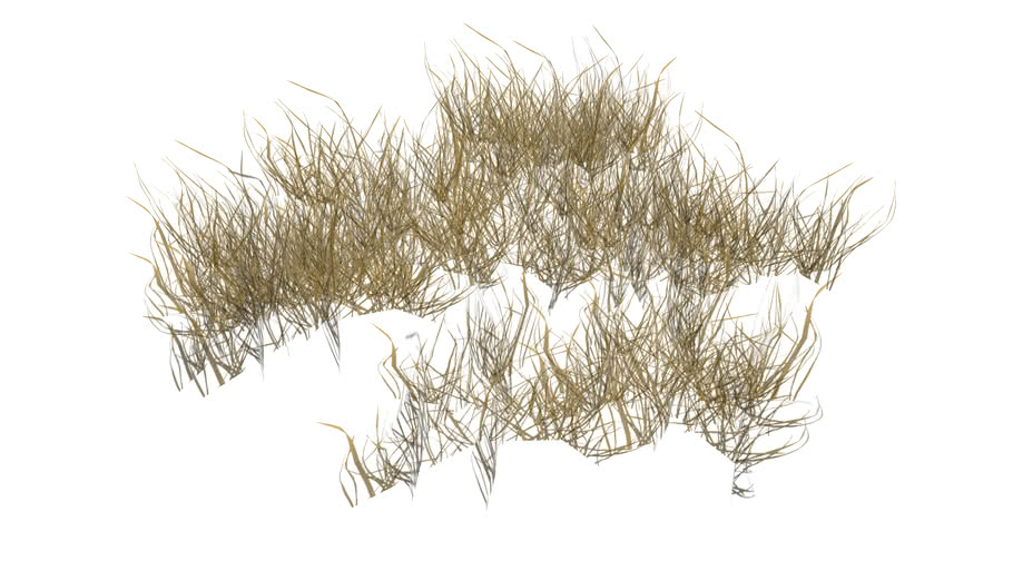 Pasto seco | 3D Warehouse