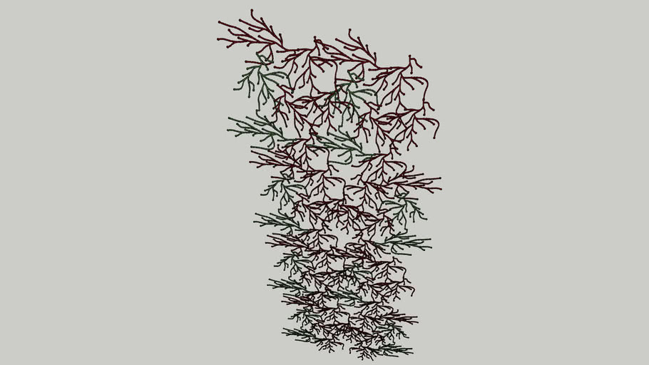 Algue | 3D Warehouse