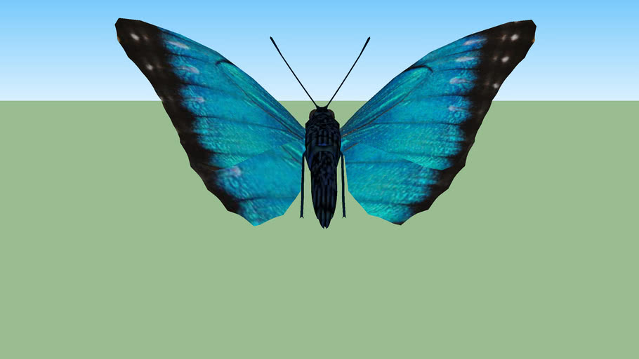 papillon 3 - butterfly 3 | 3D Warehouse