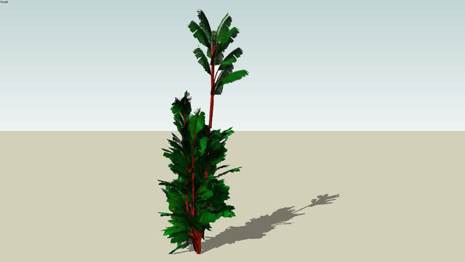 plant 2d | 3D Warehouse