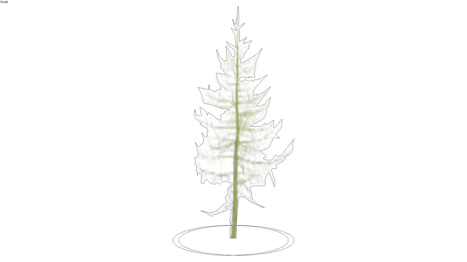 PINE TREE 4 | 3D Warehouse