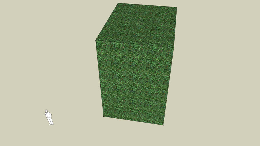 A big bush | 3D Warehouse