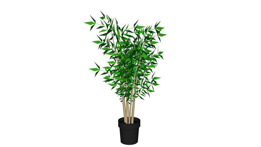 planta bambu | 3D Warehouse