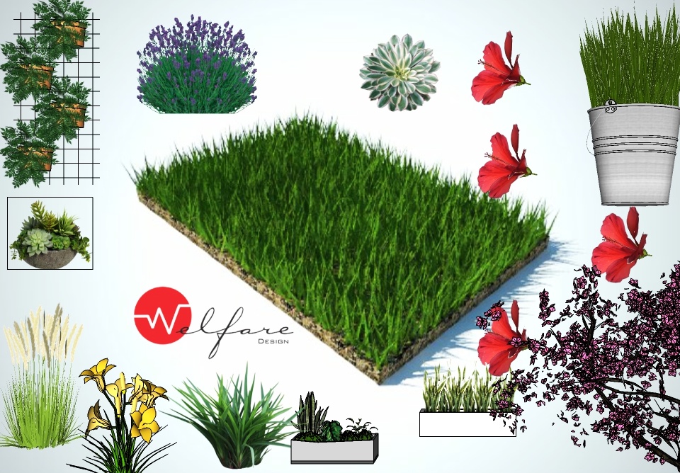 Plantas Vegetation vegetação | 3D Warehouse