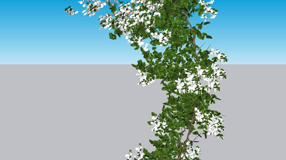 vegetacion 2 | 3D Warehouse