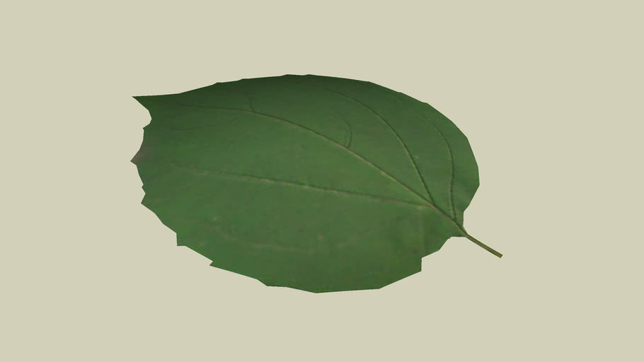A 3-D leaf you can use in your models | 3D Warehouse